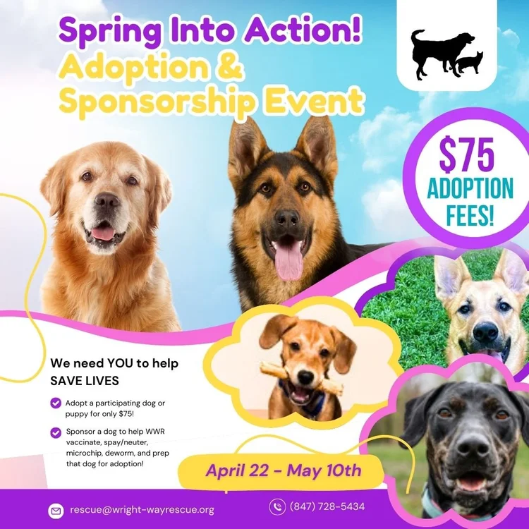 New Page — Wright-Way Rescue