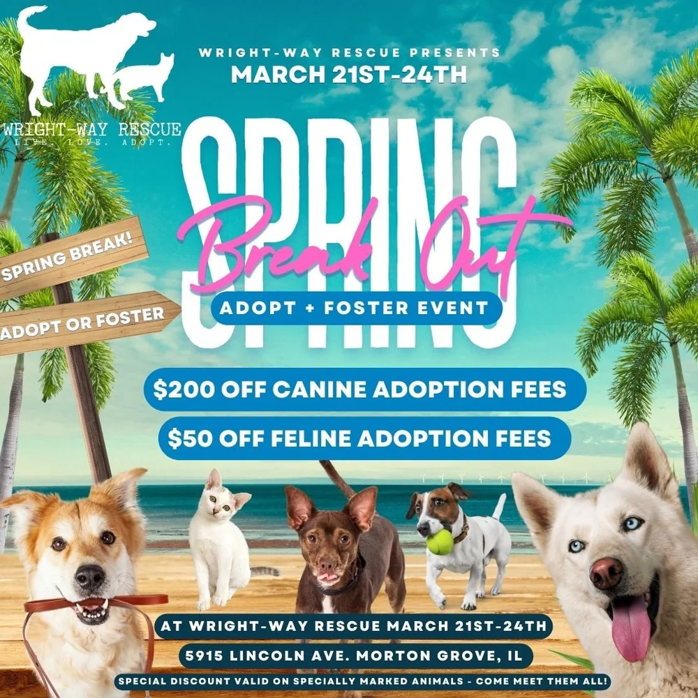 New Page — Wright-Way Rescue