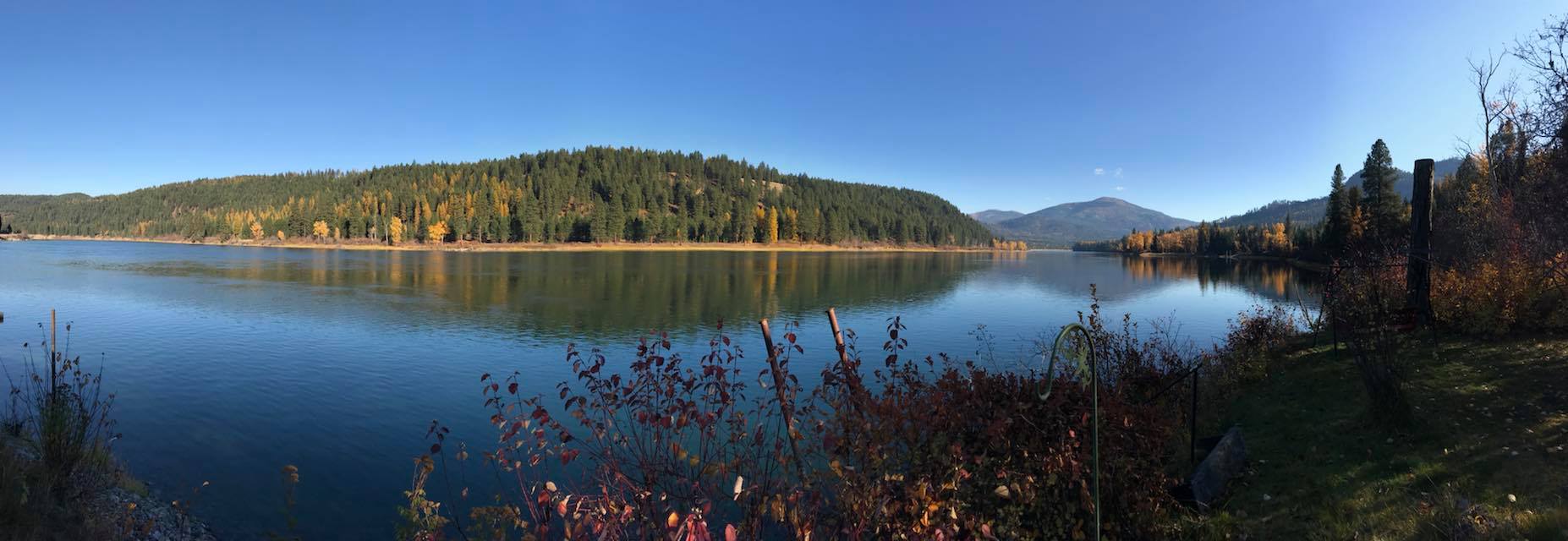 Bird Preserve — Matthew Sprott