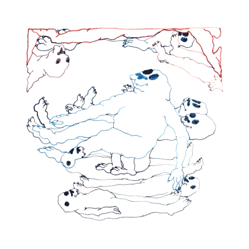 ghost loops — anna firth