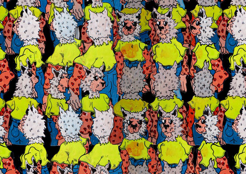 cel — anna firth