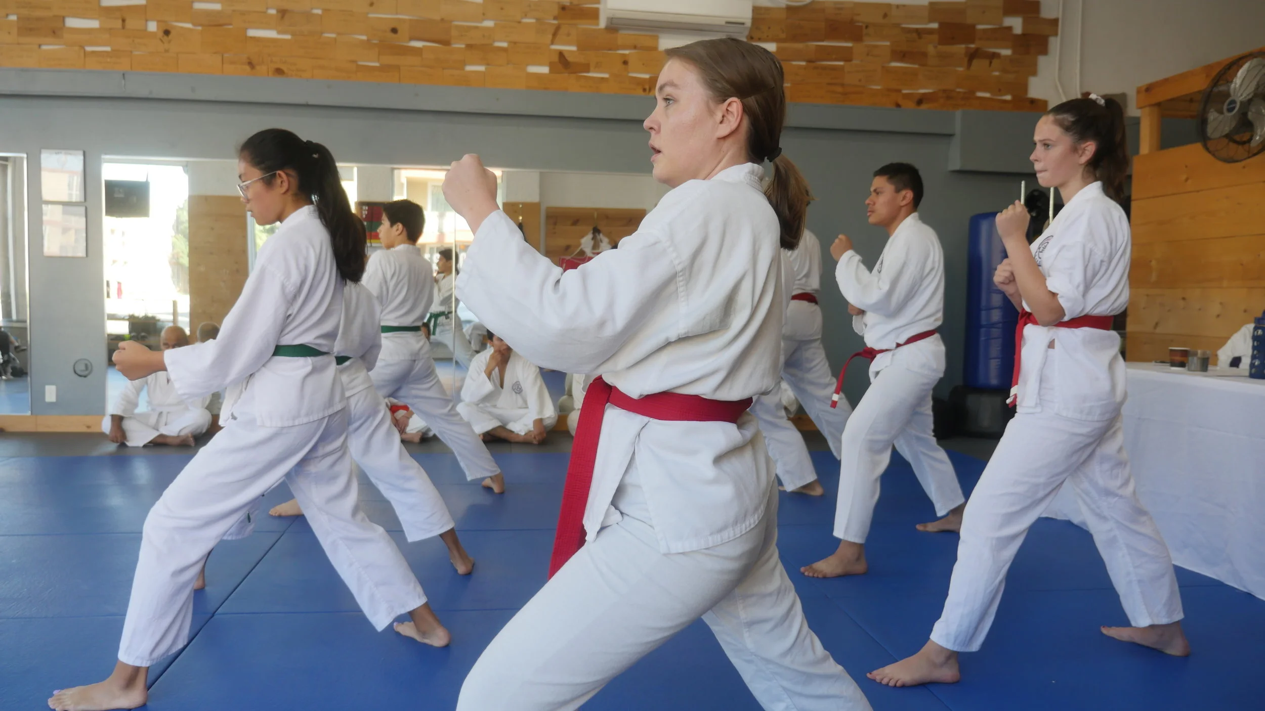 PHOTOS — KNOWLES KARATE ACADEMY