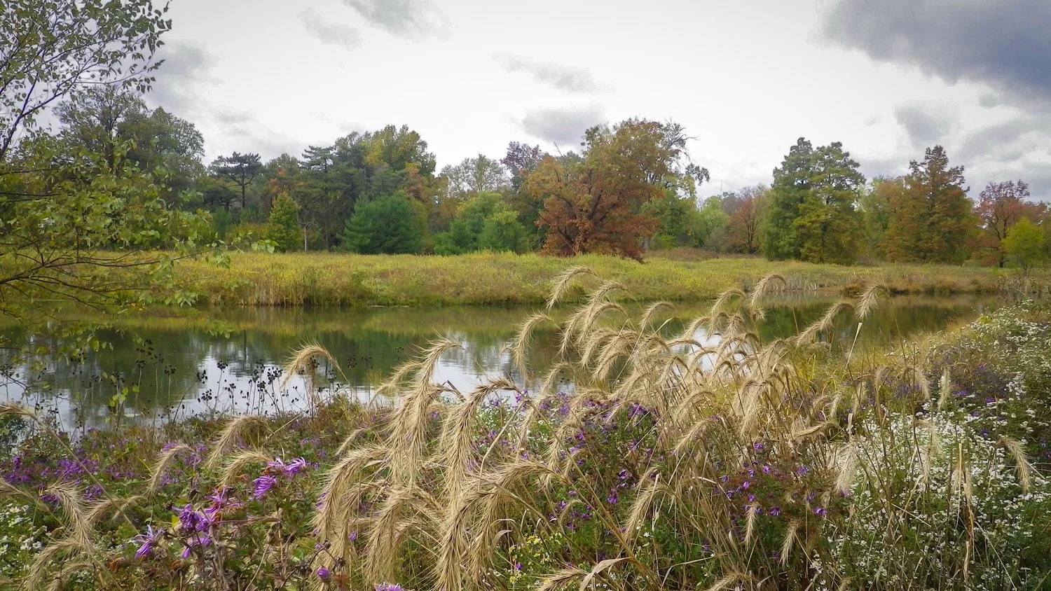 Home — Forest Park Forever