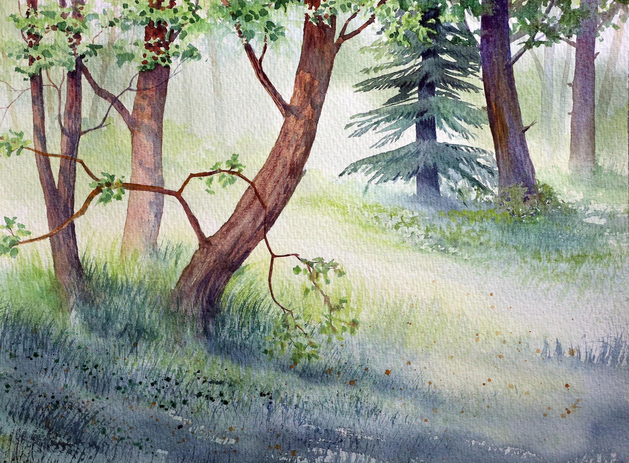 Sarah Burns - Scotland Art