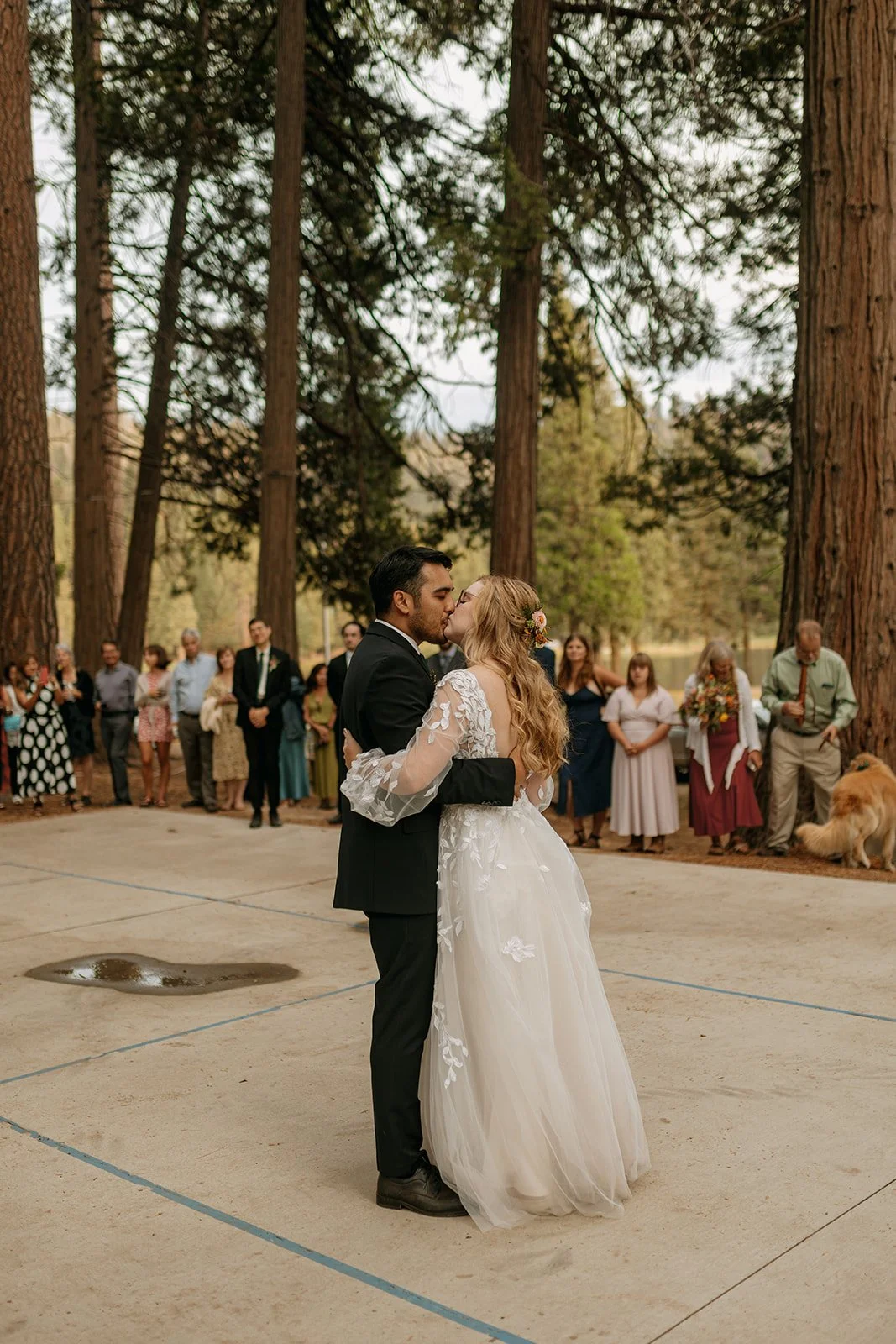 Sequoia National Park Wedding Photographer — Adventure For Love