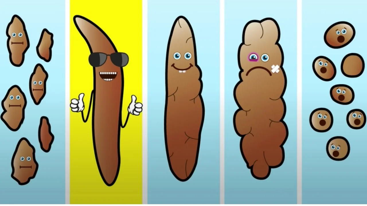 O Que Suas Fezes Falam Sobre a Sua Saude?💩😎 — Cardio DF – Cardiologia e ...