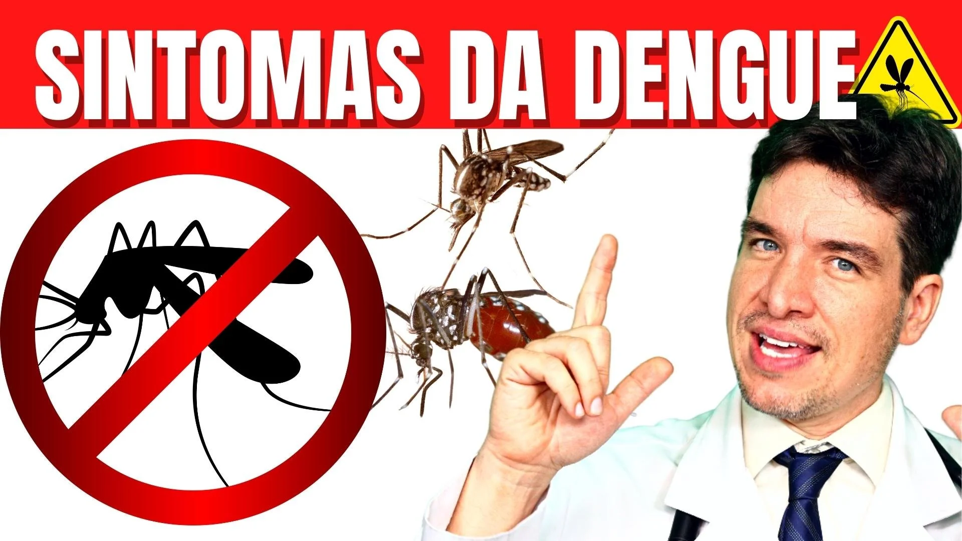 Sintomas Da Dengue Principais Sinais E Sintomas Da Dengue Clássica E
