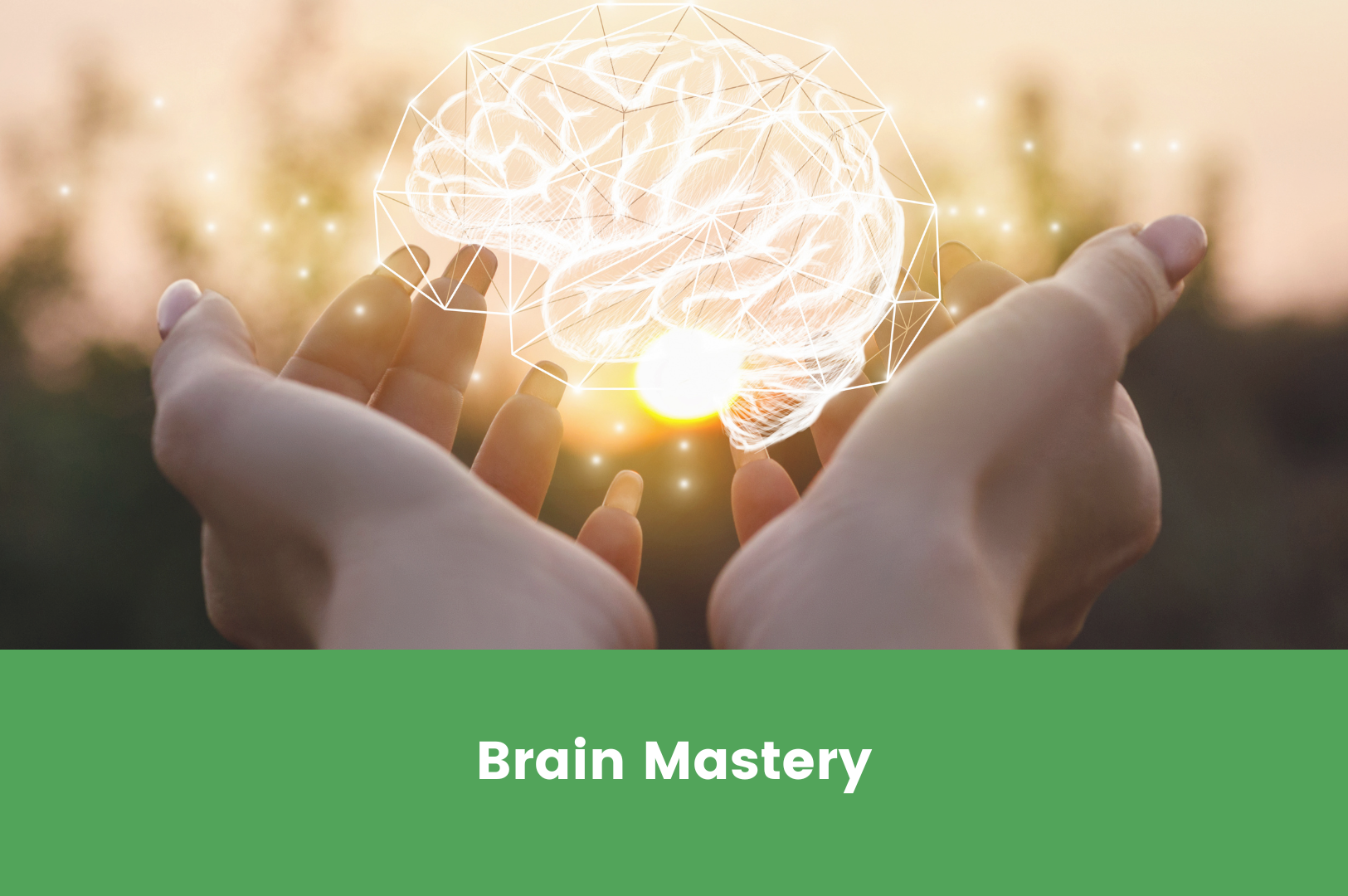 GMV Brain Mastery handout — CHANGEpain