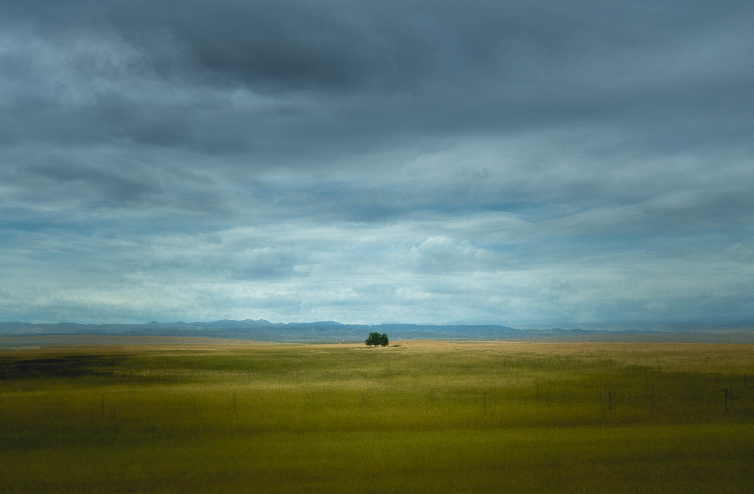 David Youn Photography