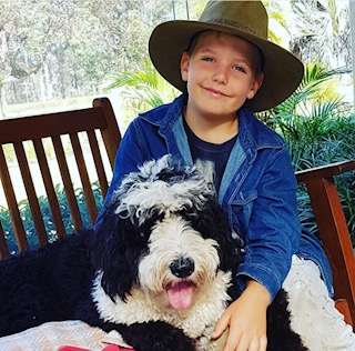 Australian Sheepadoodle Australia