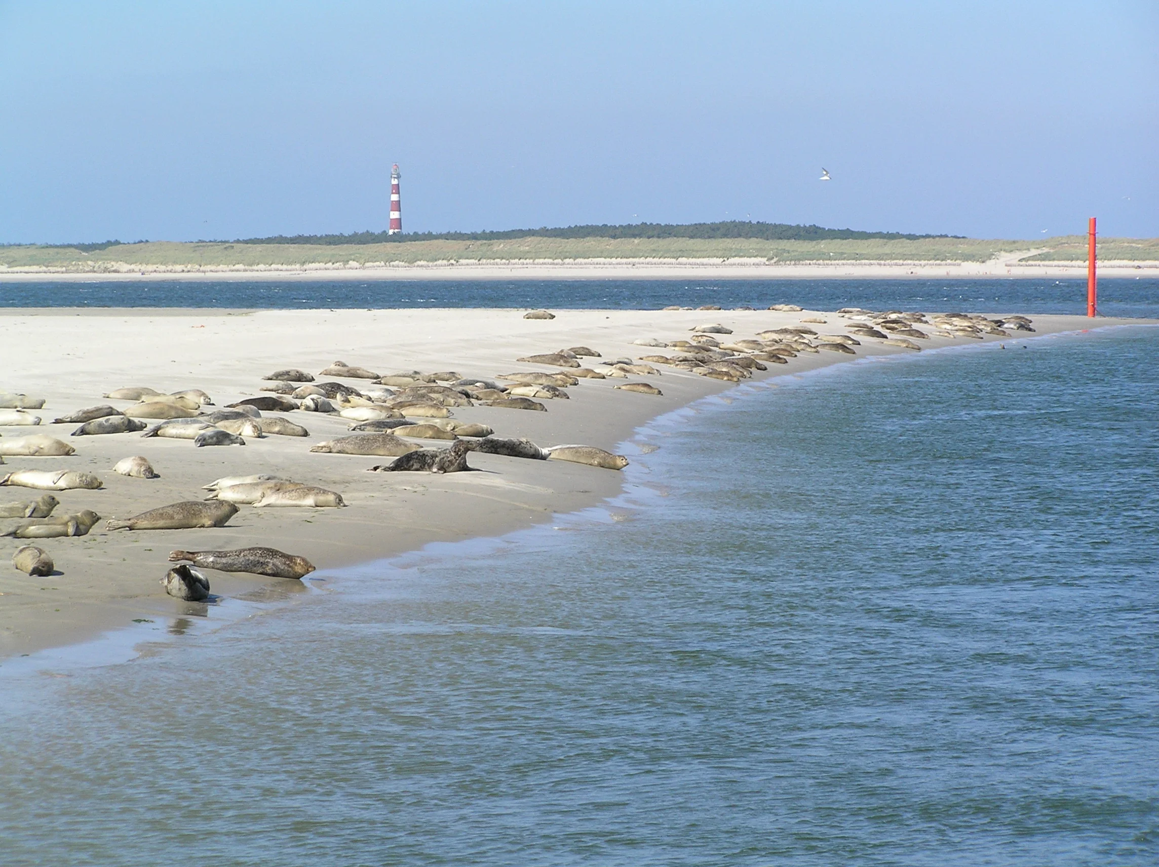 Dorpen op Ameland — Buiten de Duinen - Ameland | Apartements und ...