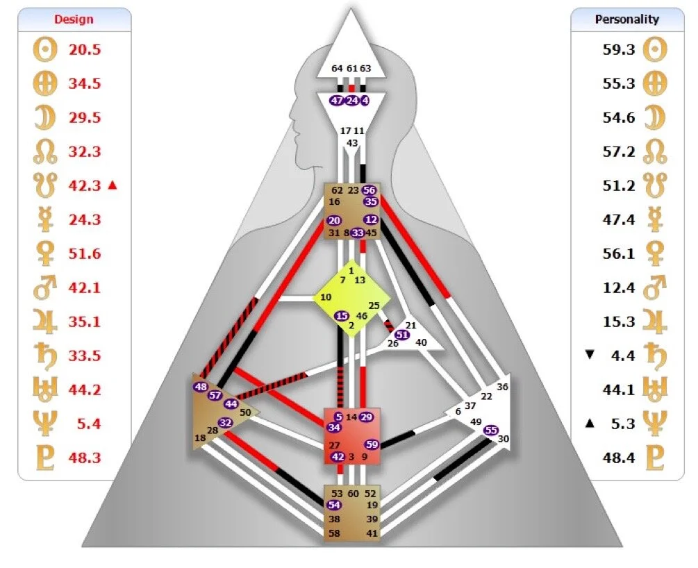 Human Design — Peter Berv