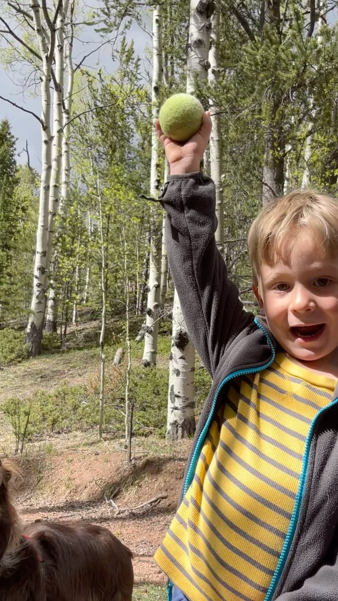 Videos — Peter Berv