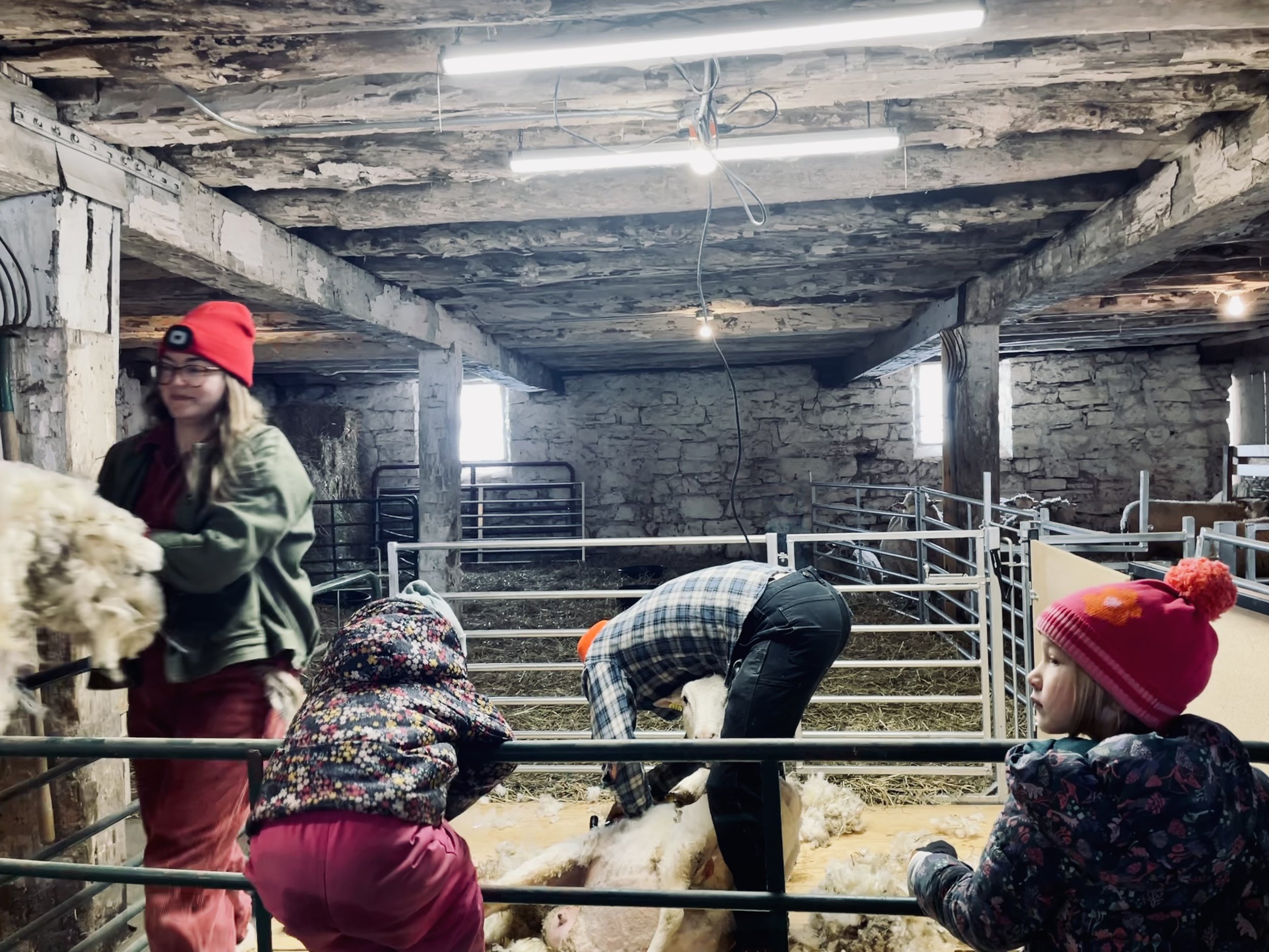 Natalie Reece — Three Rivers Fibershed