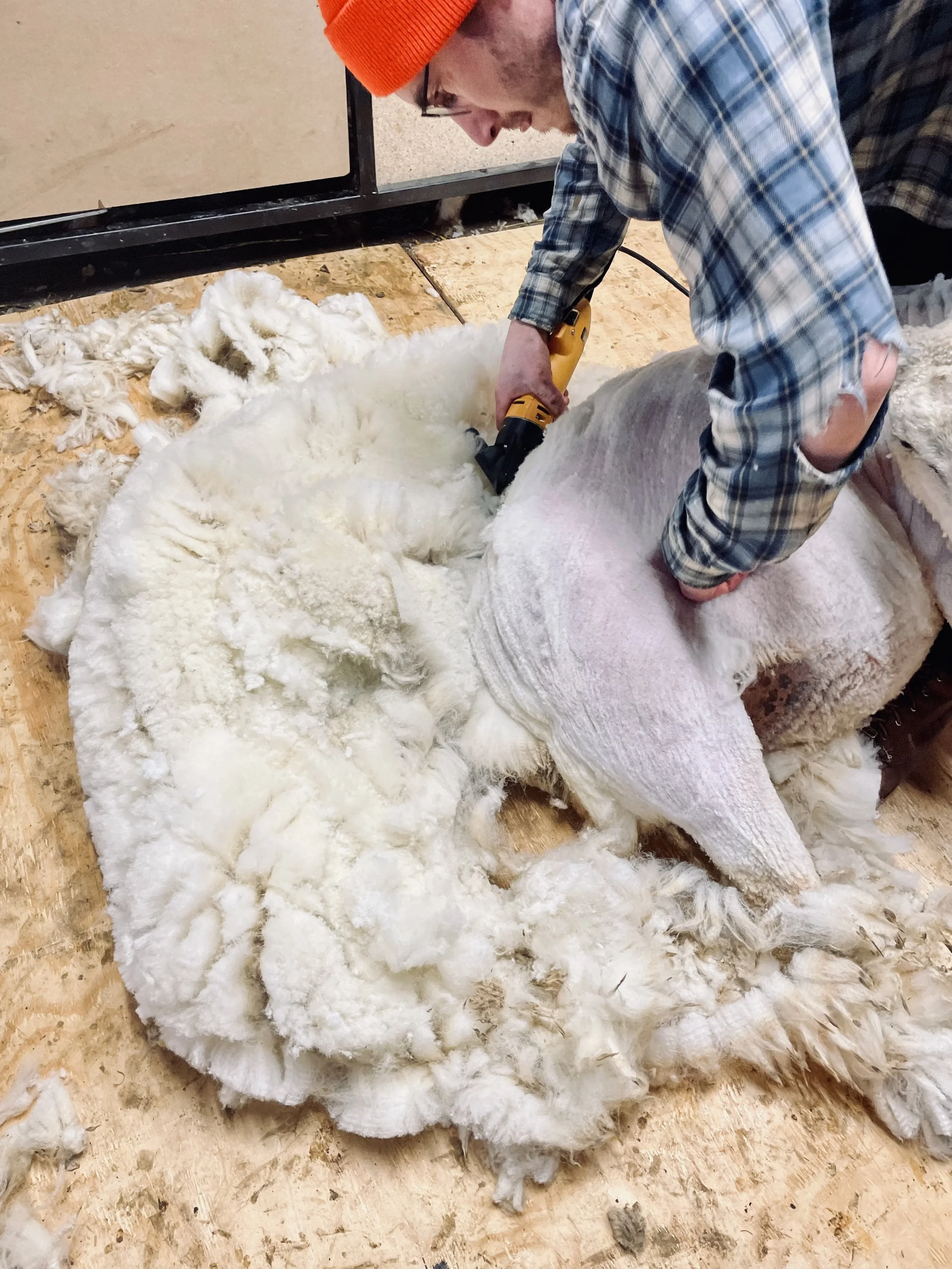 Natalie Reece — Three Rivers Fibershed