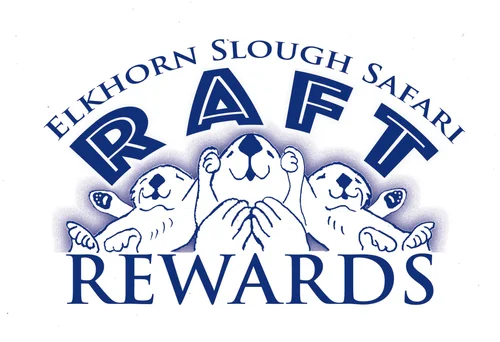 Elkhorn Slough Safari — Raft Rewards Program