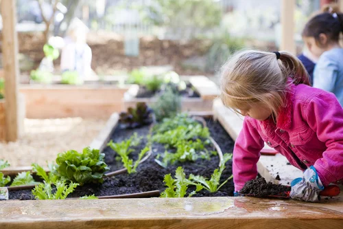 Stephanie Alexander Kitchen Garden Classroom — Warrandyte Kindergarten