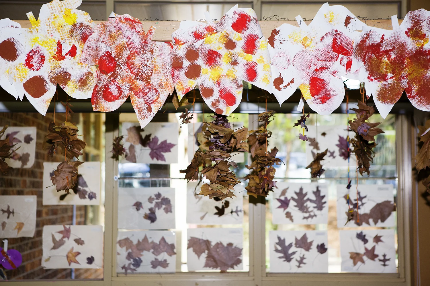 Teaching Philosophy — Warrandyte Kindergarten