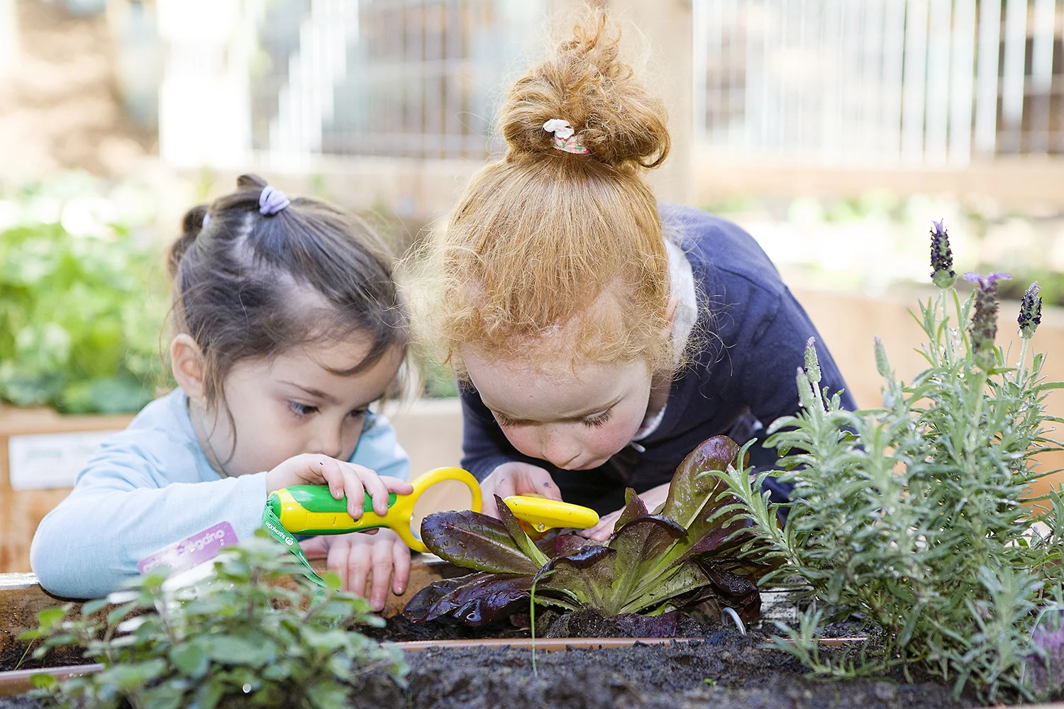 Our Facilities — Warrandyte Kindergarten