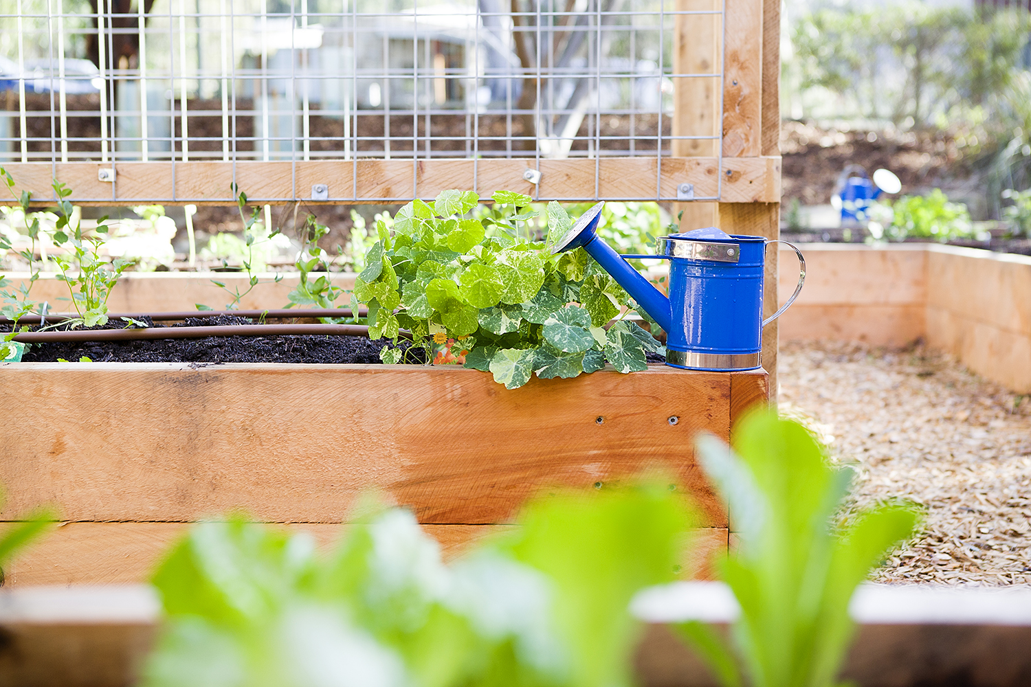 Kitchen Garden Classroom — Warrandyte Kindergarten