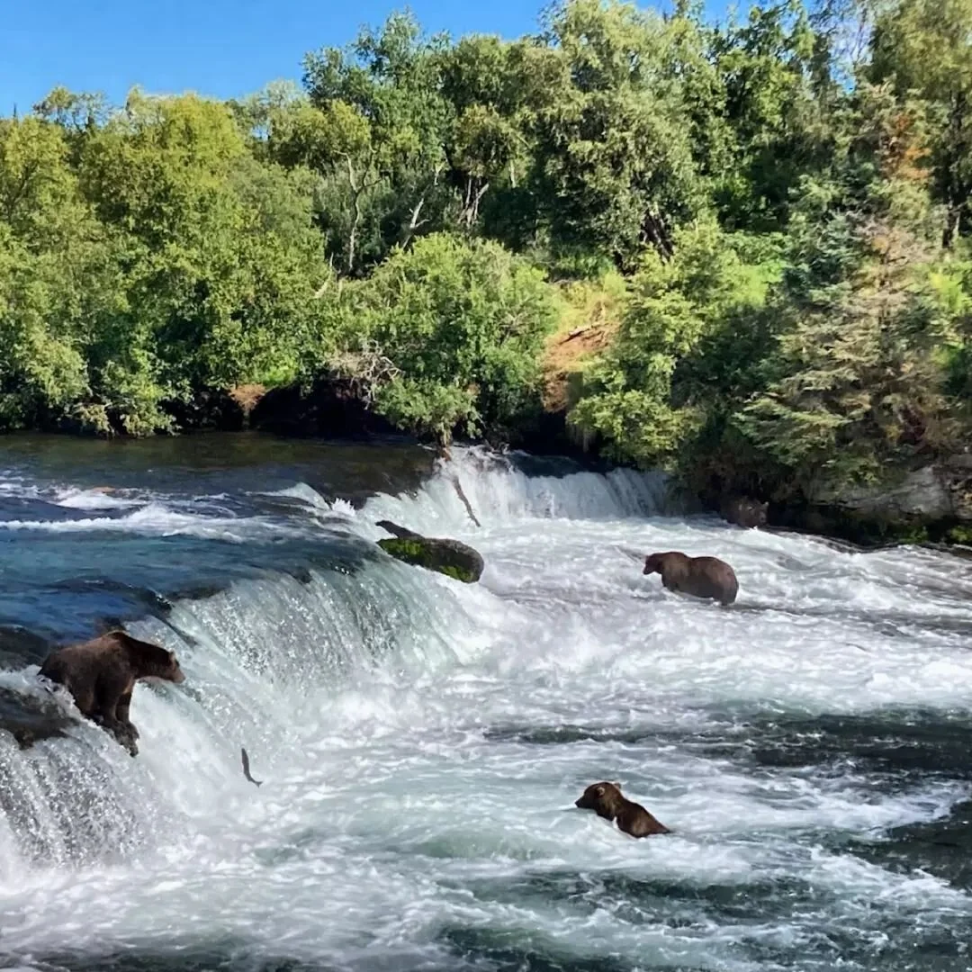 BERYL AIR: ALASKA FLOATPLANE ADVENTURES