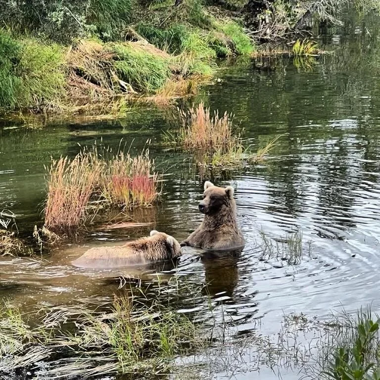 BERYL AIR: ALASKA FLOATPLANE ADVENTURES