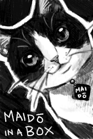 Maido in a Box: Cat/Dog Lovers — Kinokuniya USA