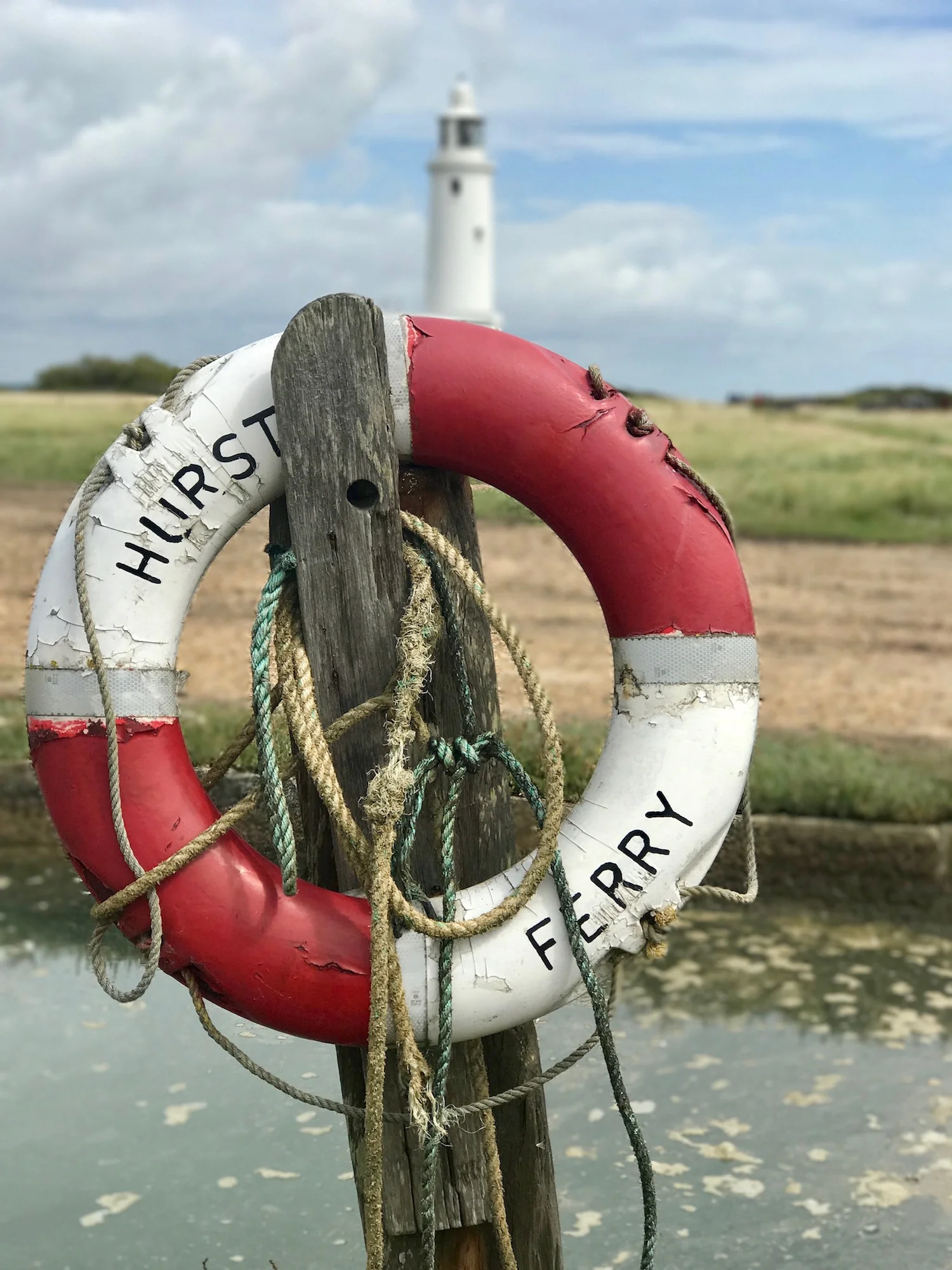 A WEEKEND IN NEW FOREST Where Wild Horses Couldn't Drag Me Away — A ...