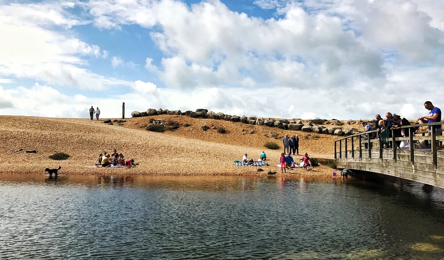 A WEEKEND IN NEW FOREST Where Wild Horses Couldn't Drag Me Away — A ...