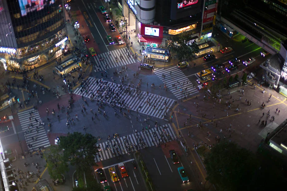 Shibuya and The Pink Cow — ShootTokyo