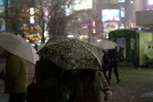 Snow in Tokyo — ShootTokyo