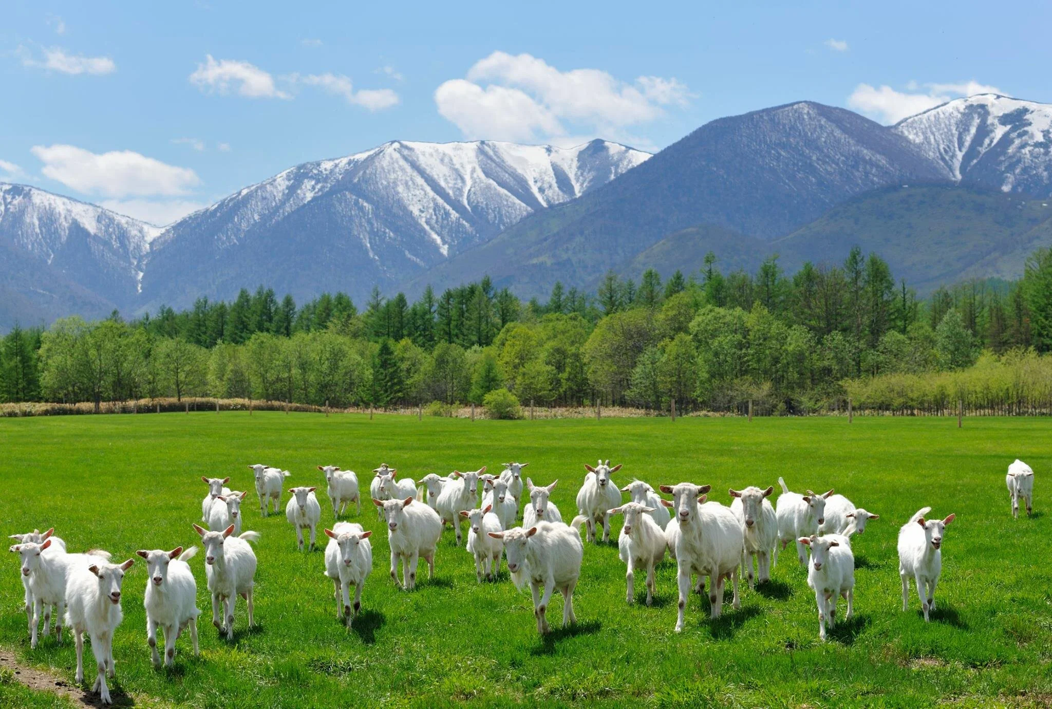 APERTUS Aviation - TOKACHI - An Unknown Paradise in Hokkaido Japan