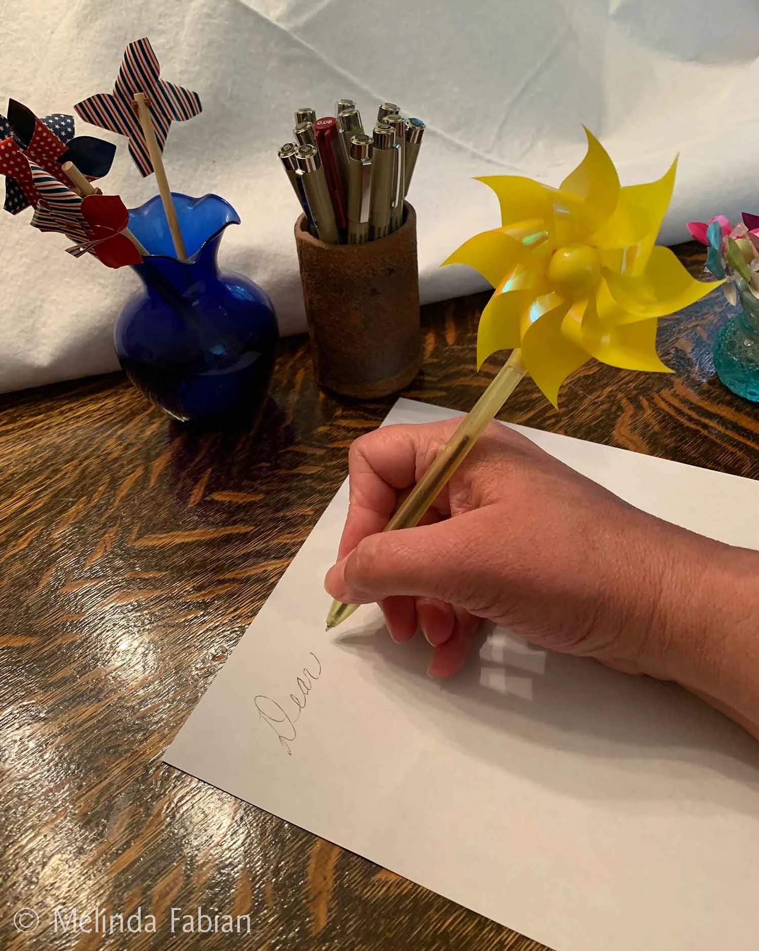 Blog - Transforming 'My Studio' Into a Lifelike Habitat