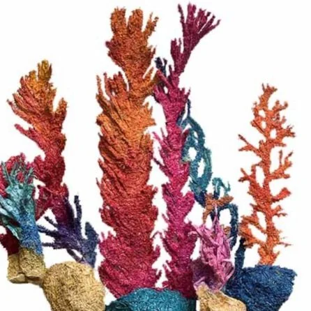 What's Happening in the Studio - Part Two - Making Paper Sculpted Coral