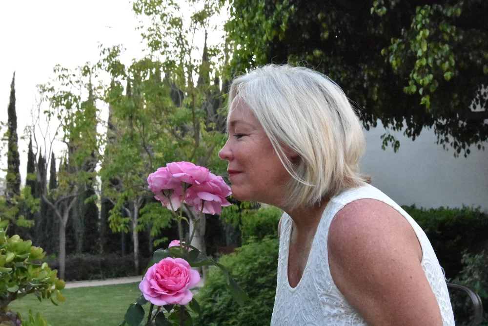 Our Story — Peace Awareness Labyrinth & Gardens