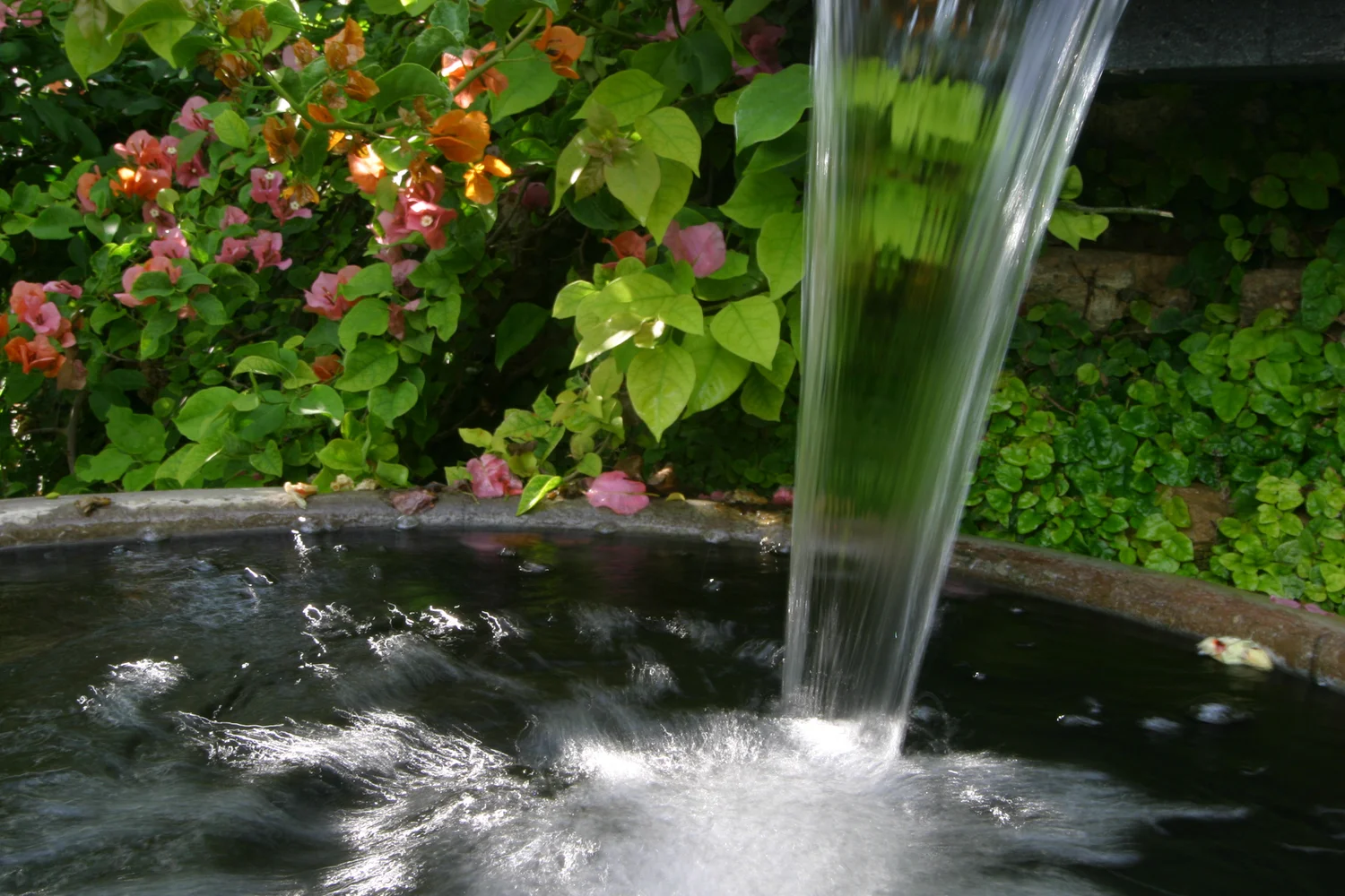 Peace Awareness Labyrinth & Gardens