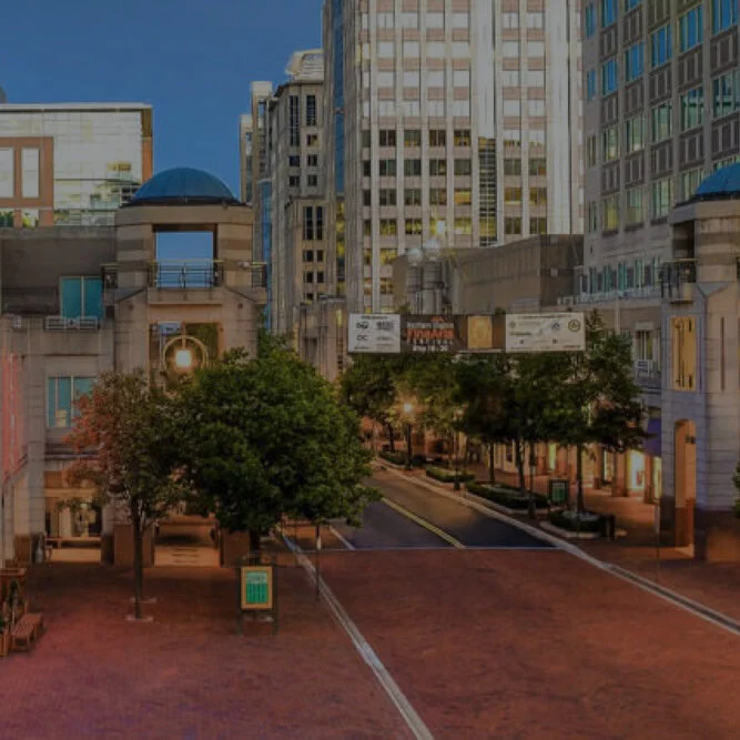 Best Reston Agent | Your #1 Expert In Reston Real Estate