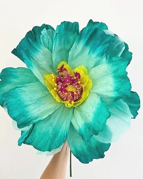 ESPLORA - Saa Paper Flowers