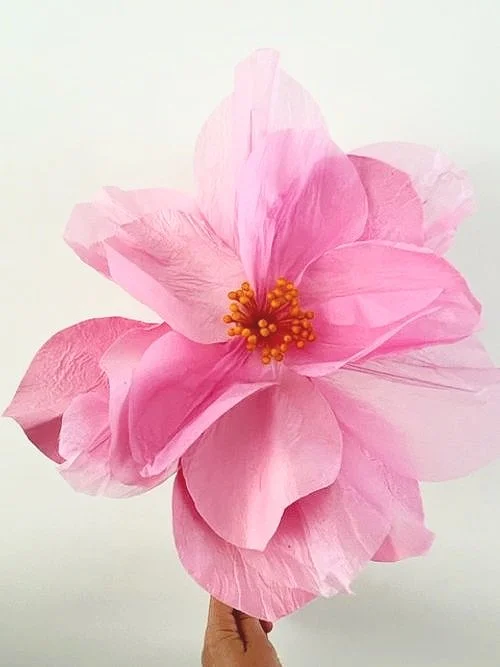 ESPLORA - Saa Paper Flowers