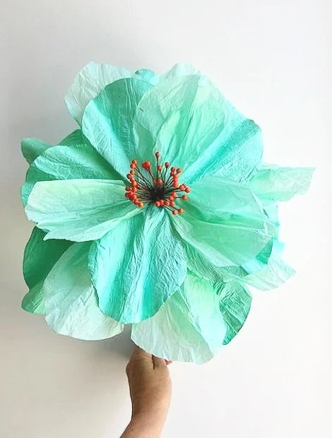 ESPLORA - Saa Paper Flowers