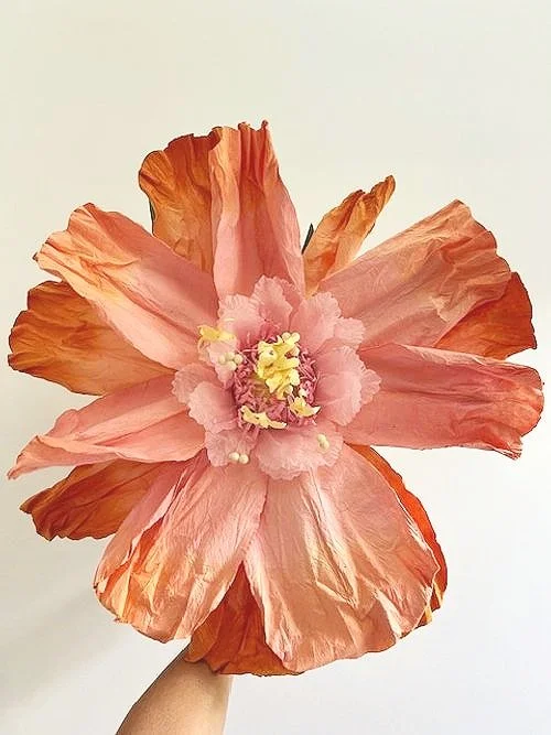 ESPLORA - Saa Paper Flowers