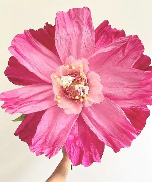 ESPLORA - Saa Paper Flowers