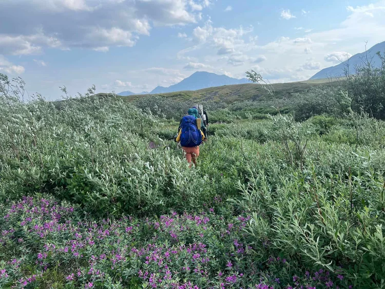 A Guide to Backpacking Gates of the Arctic National Park — Indigo ...