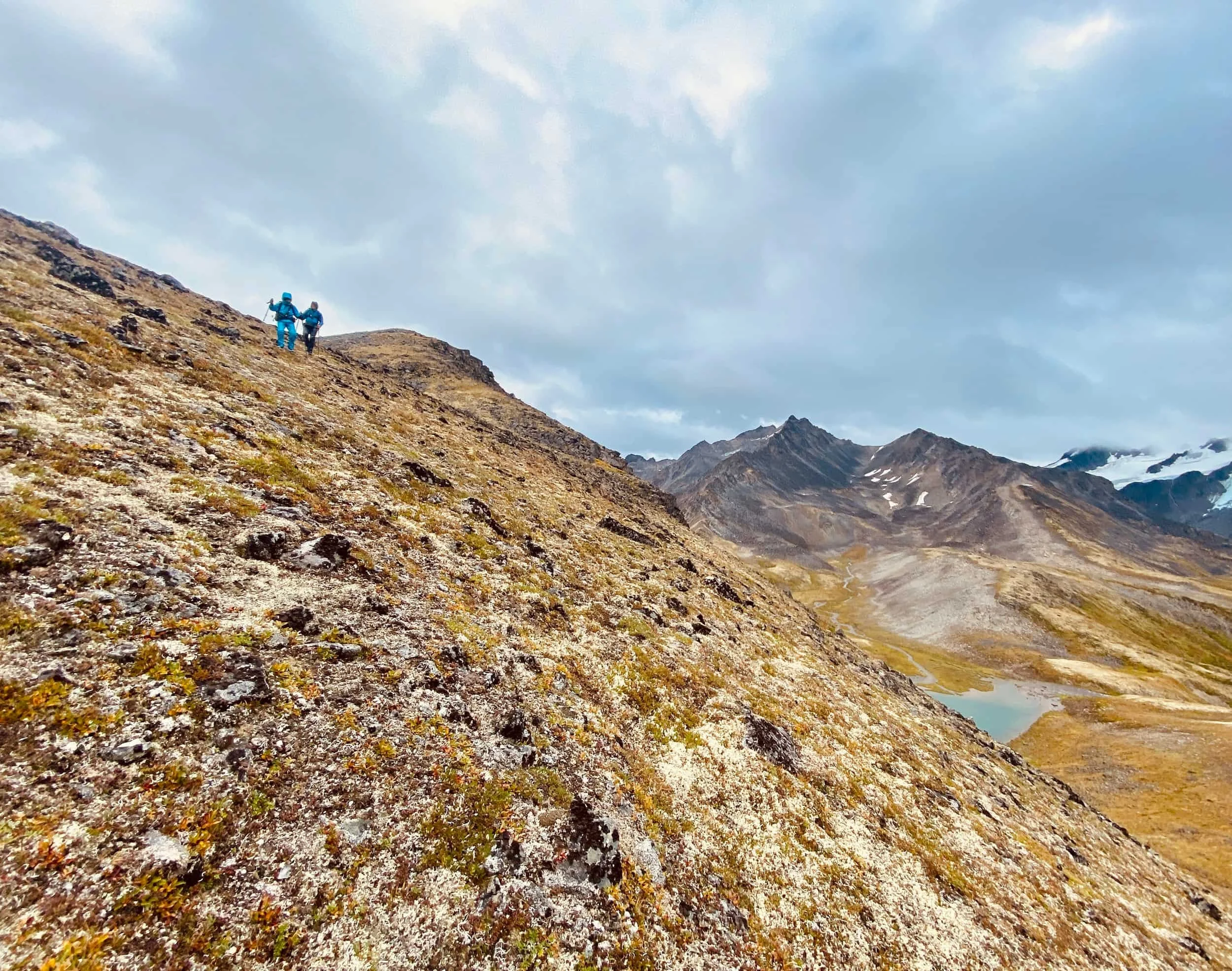 Denali National Park by the Season — Indigo Alpine Guides