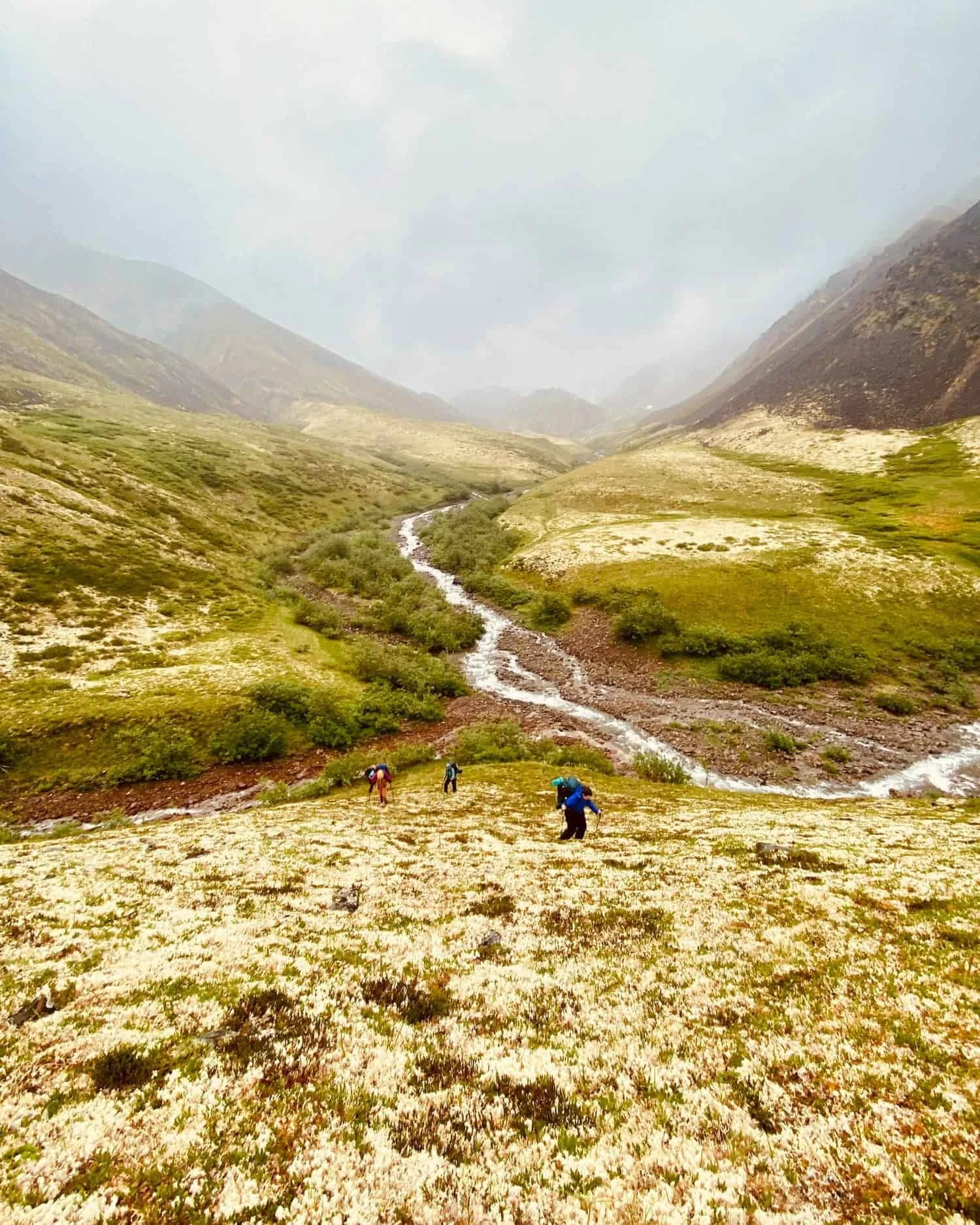 Gates of the Arctic and Kobuk Sand Dunes Basecamp Expedition — Indigo ...