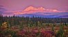 Denali National Park by the Season — Indigo Alpine Guides