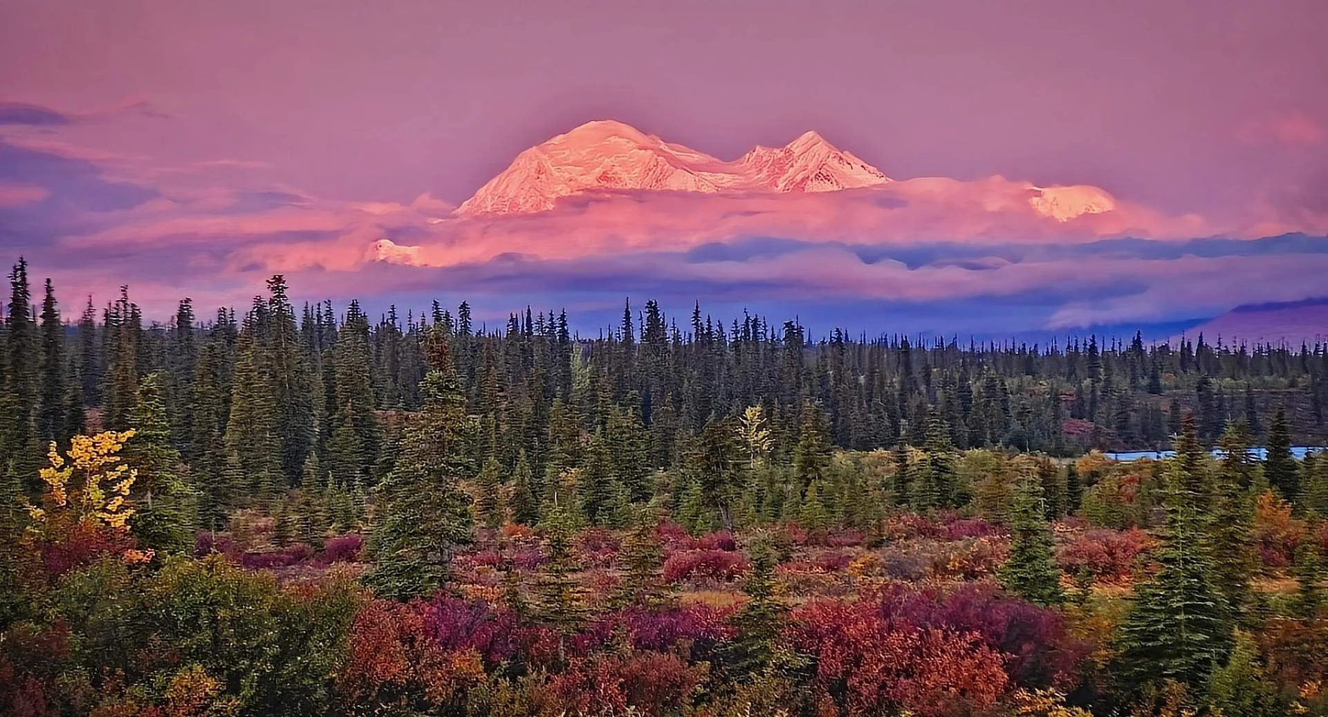 Denali National Park by the Season — Indigo Alpine Guides