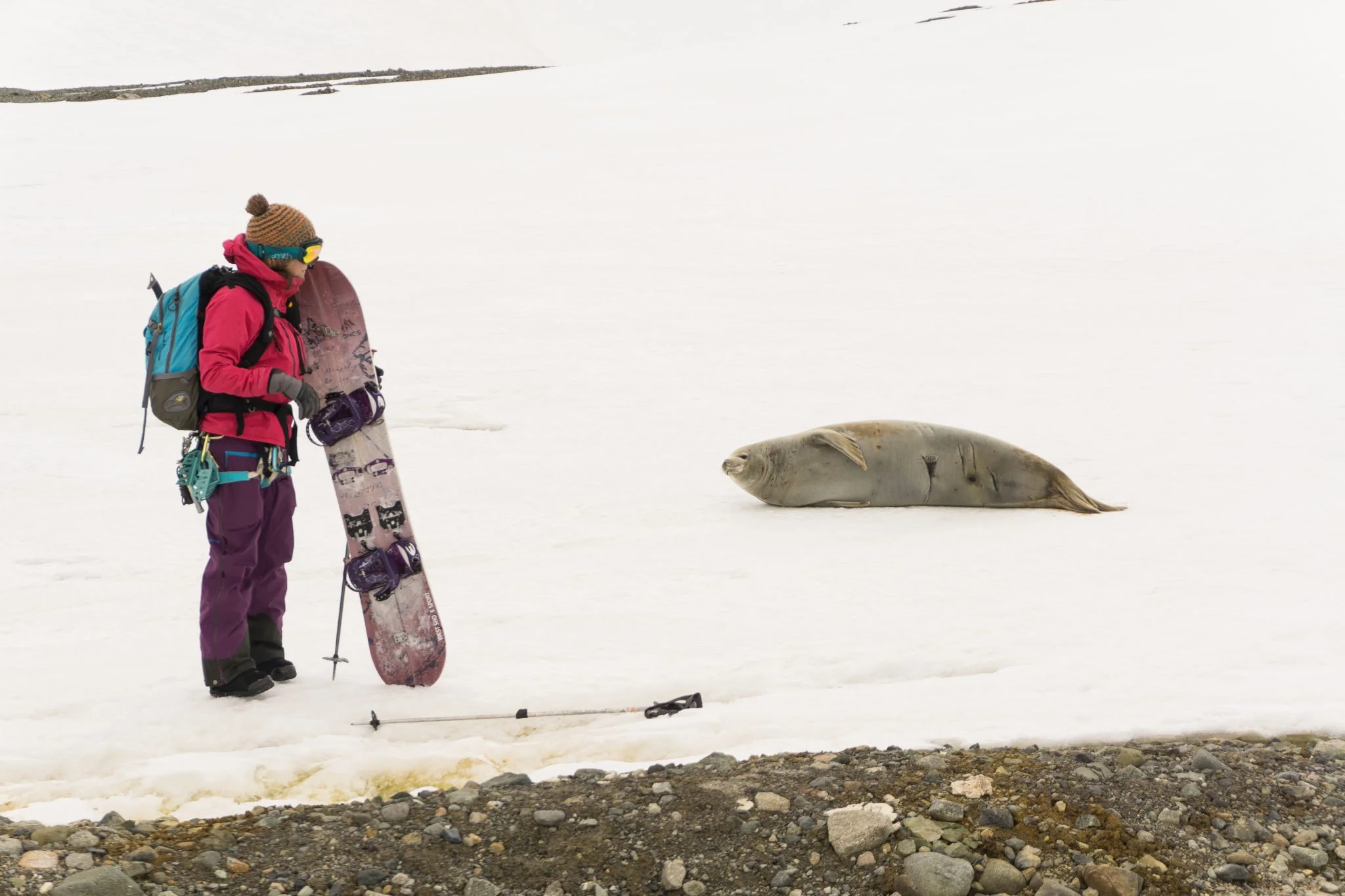 Epic Guided Adventures: Indigo Alpine Guides