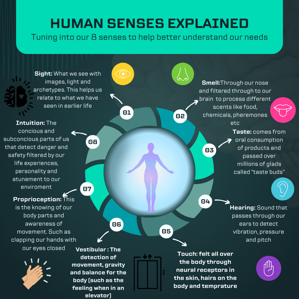 Using the senses to support wellbeing — Phoenix Wings Wellness | Family ...