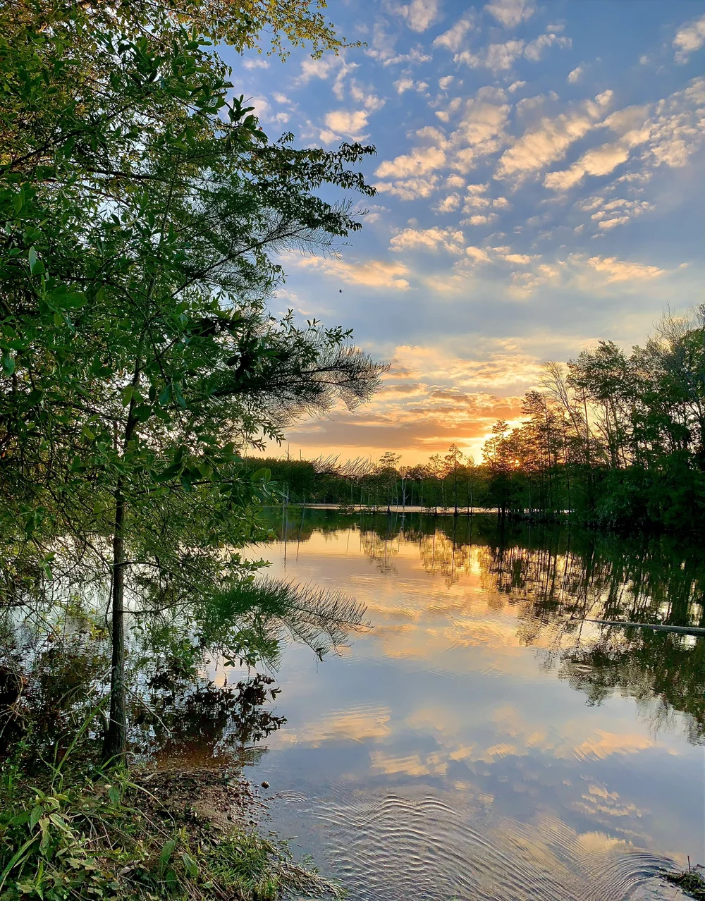 Education — Georgia Association of Conservation Districts